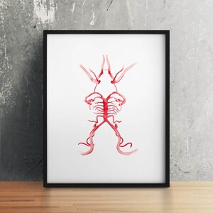 Circle of Willis, Medicine, Medical Art, Medical Print, Anatomy ...