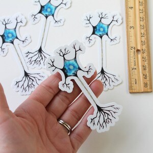 Neuron Sticker, Vinyl Sticker, Stickers, Laptop Stickers, Bumper ...