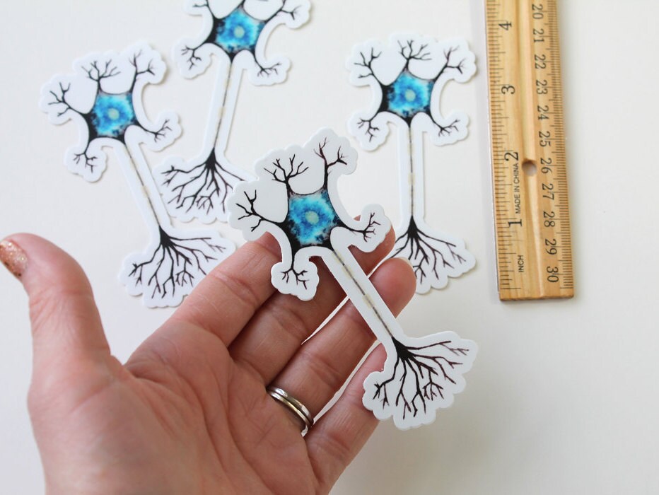 Neuron Sticker Vinyl Sticker Stickers Laptop Stickers | Etsy