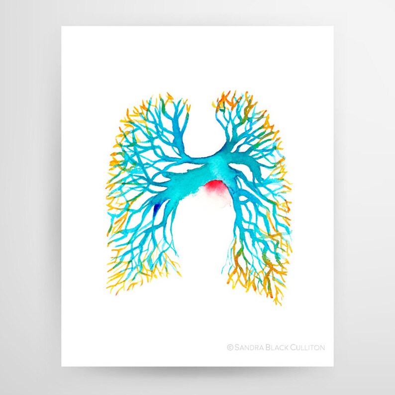 Angiogram Art Print Science Science Art Science Print - Etsy