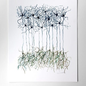 Neuron 2, Neurons, Neurology, Art Print, Neuron Print, Science, Science ...