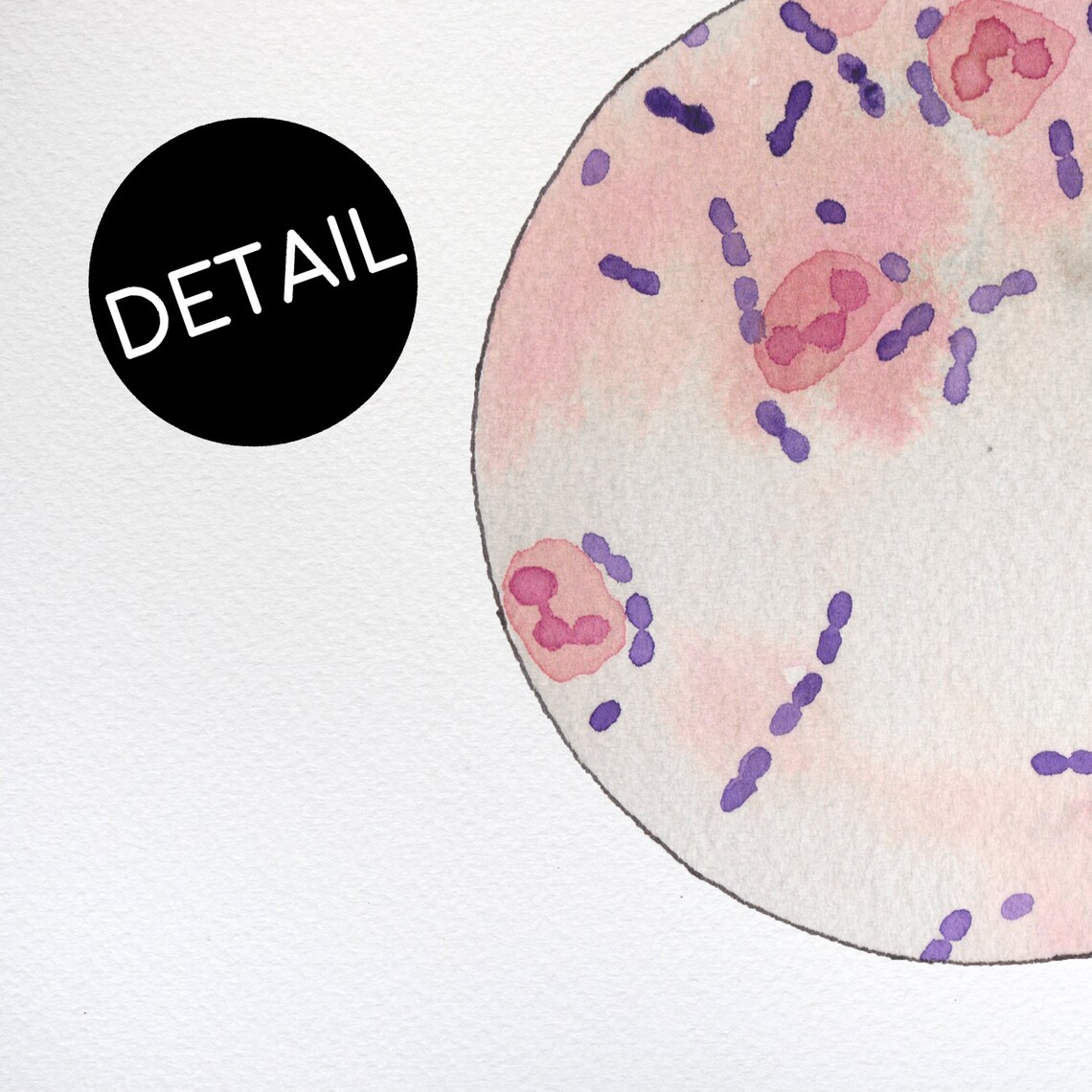 Streptococcus Pneumoniae Bacteria Bacteria Art Science - Etsy