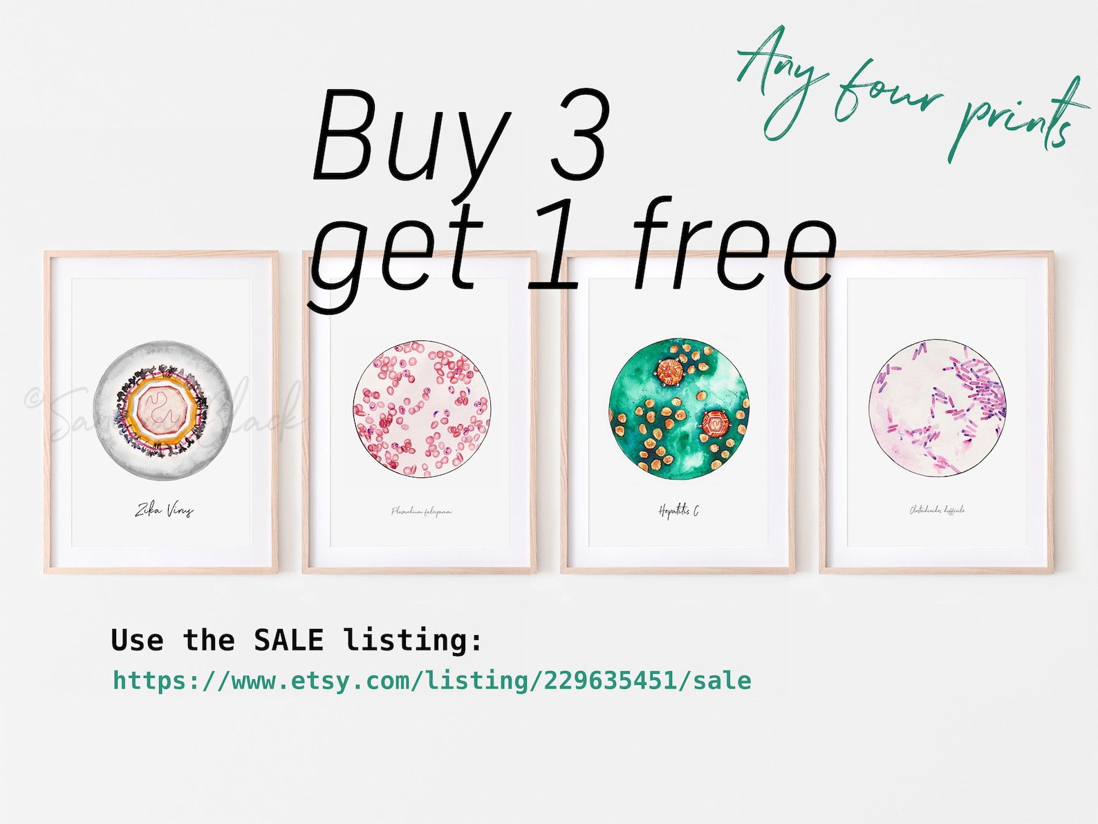 Microbe Collection, Bacteria, Bacteria Art, Science, Science Art ...