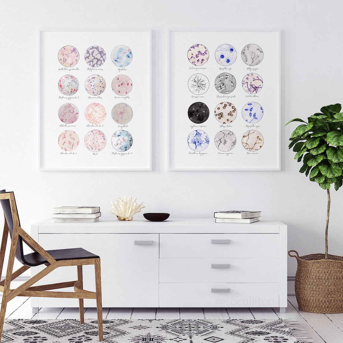 Microbe Collection Bacteria Bacteria Art Science Science - Etsy