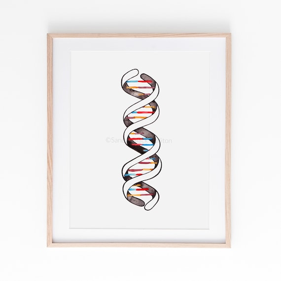 DNA Double Helix Biology Art Dna Art Dna Print Science | Etsy