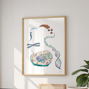 Cell to Helix, Science, Science Art, Biology, DNA, Genetics, Dna Art ...