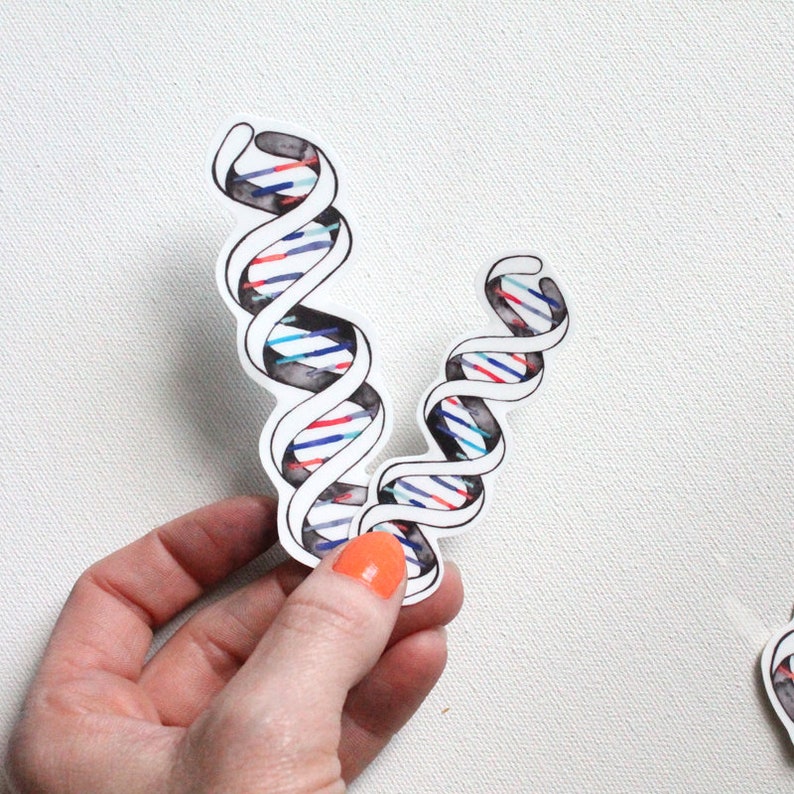 DNA Sticker Stickers Sticker Laptop Stickers Planner Vinyl - Etsy