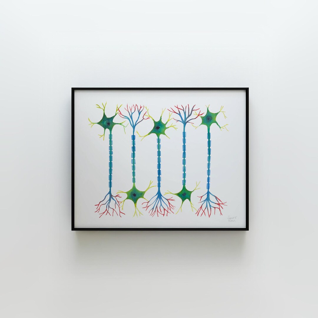 Neuron 5, Neurons, Science Art, Science Print, Watercolor Art, Art ...