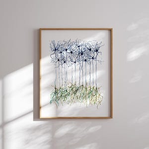 Neuron 2, Neurons, Neurology, Art Print, Neuron Print, Science, Science ...