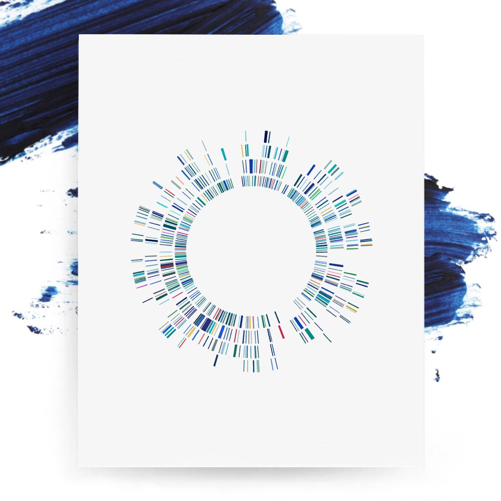 Genome 15 Genetics Art Genetic Map Dna Dna Art Biology | Etsy