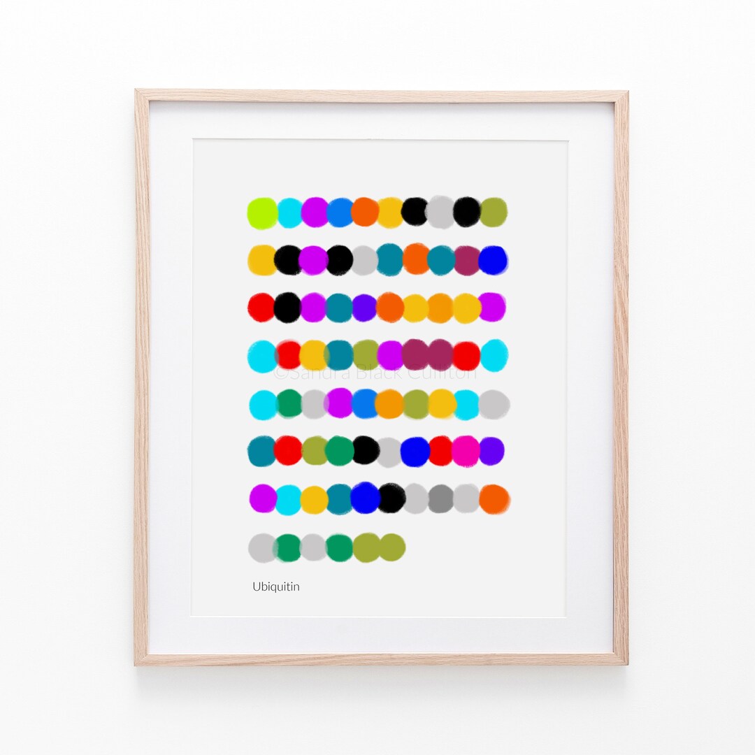 UBIQUITIN, Amino Acid Sequence, Chemistry Art, Biology Art, Art Print ...