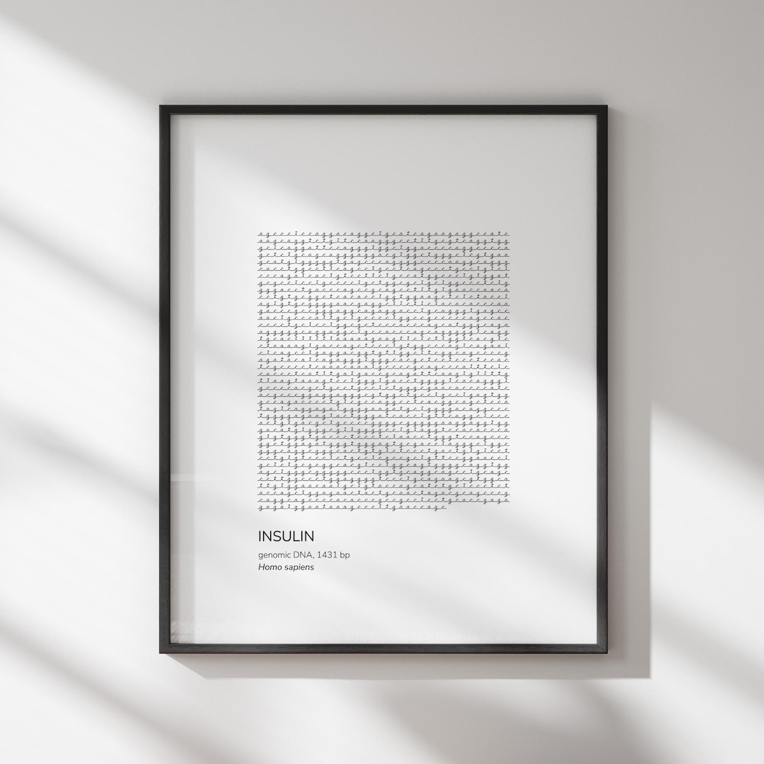 Insulin, Science Art, Science Print, Biology Art, Diabetes, Medical ...