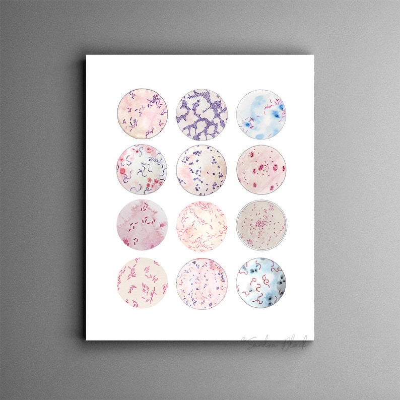Microbe Collection Bacteria Bacteria Art Science Science - Etsy