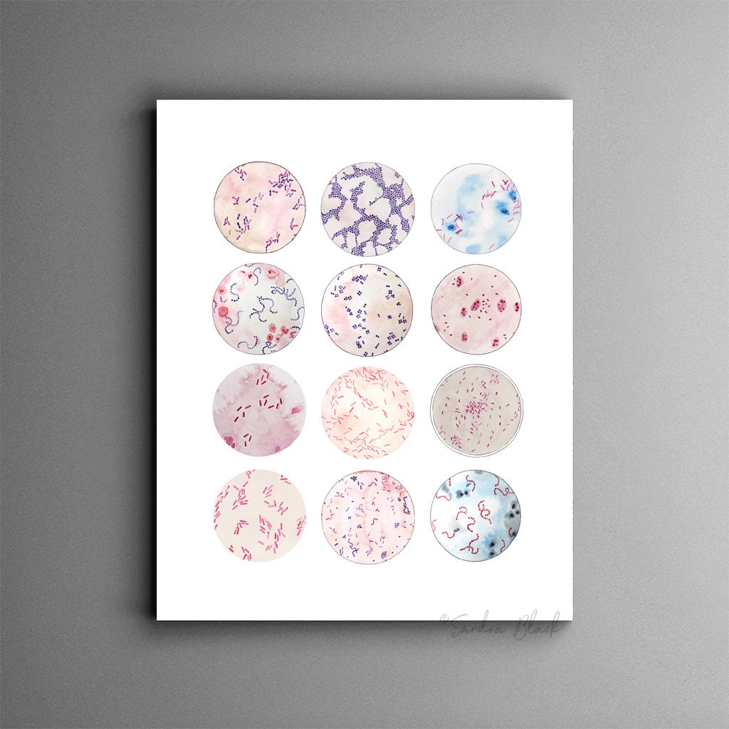 Microbe Collection Bacteria Bacteria Art Science Science - Etsy