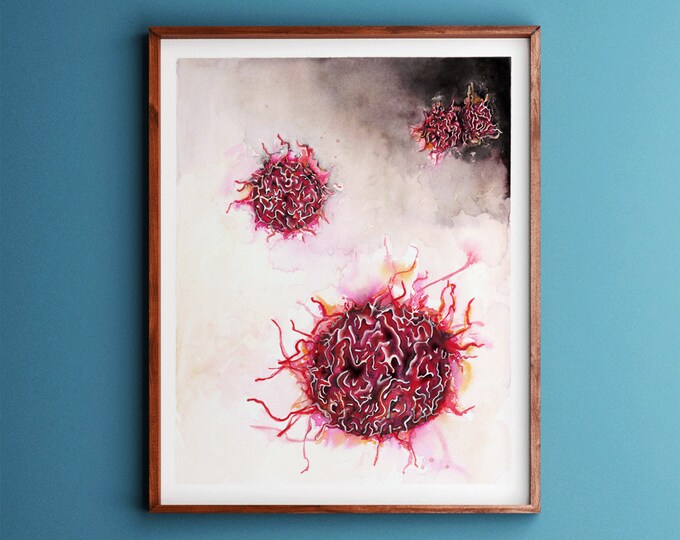 Amniotic Ferning Microscopy Obstetrics OBGYN Pregnancy - Etsy