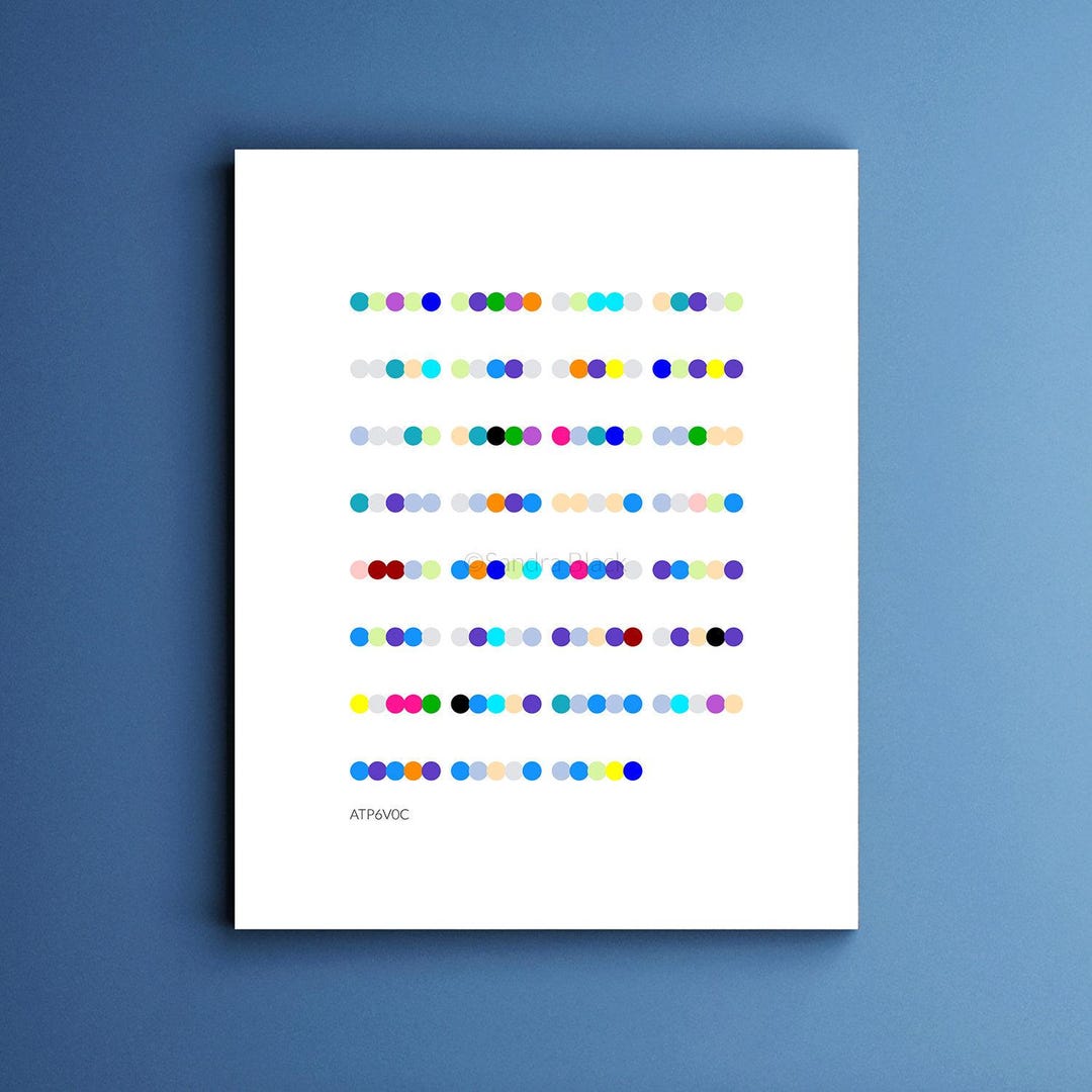 ATP6V0C: Protein Art Print, Color Coded Amino Acid Sequence - Etsy