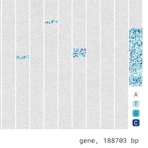CFTR Gene Sequence, Cystic Fibrosis, Biology, Science Art, Biology Art ...