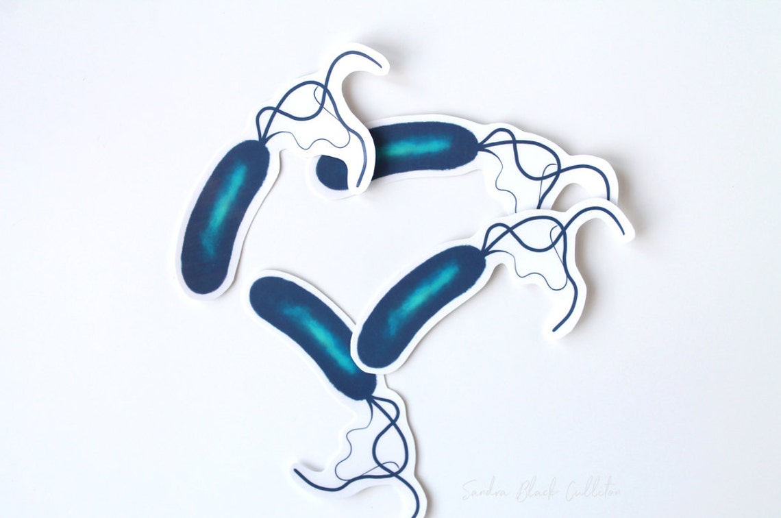 Bacteria Sticker Science Stickers Science Laptop Stickers - Etsy