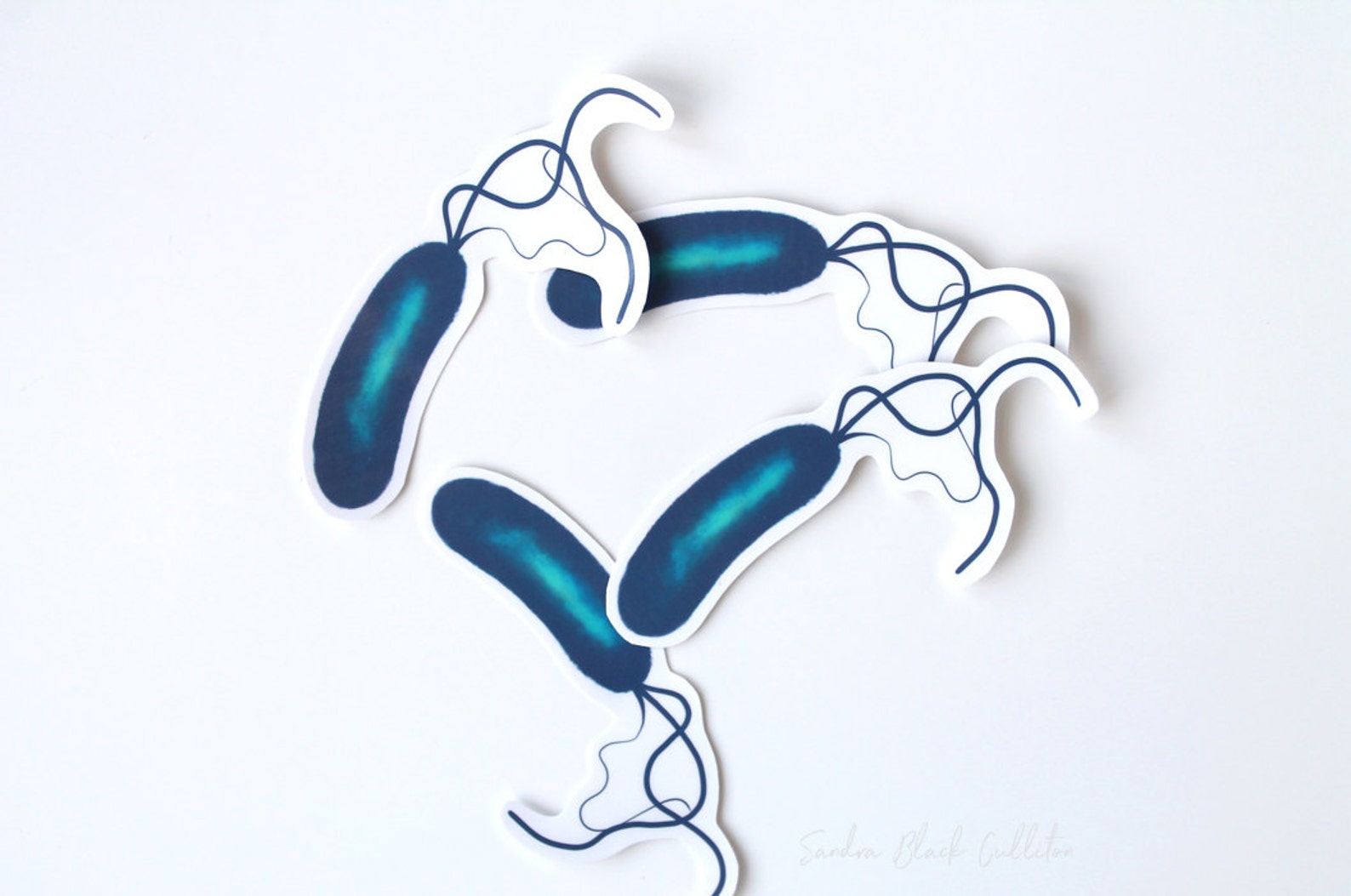 Bacteria Sticker Science Stickers Science Laptop Stickers - Etsy