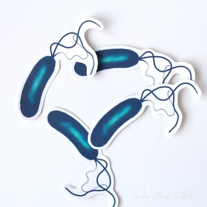 Bacteria Sticker, Science Stickers, Science, Laptop Stickers, Vinyl ...