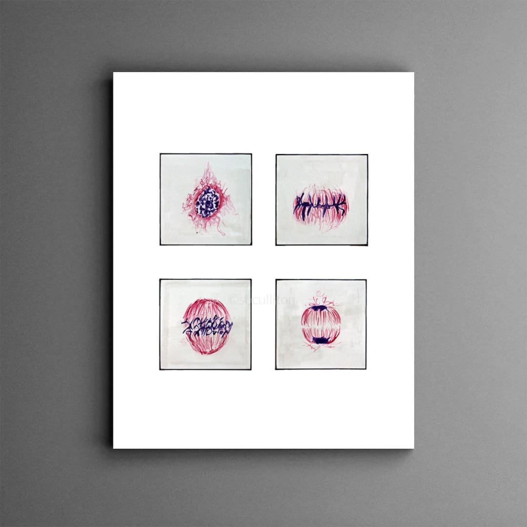 Cell Cycle, Biology, Biology Art, Science, Science Art, Mitosis ...