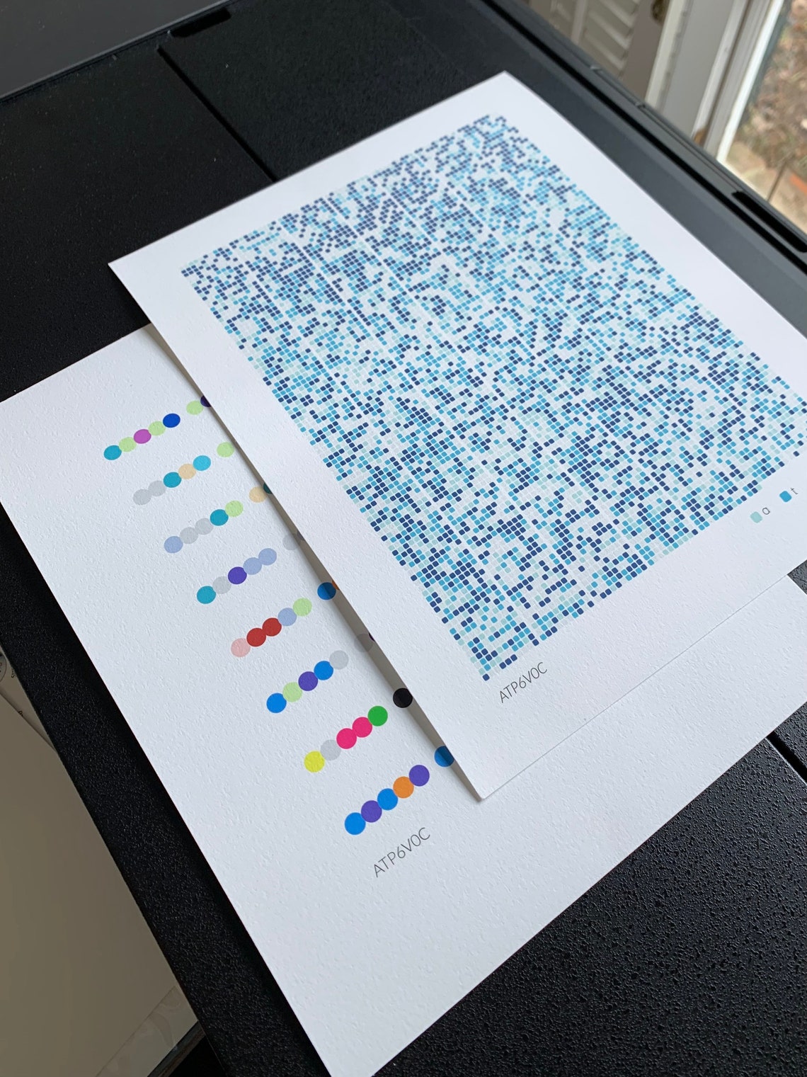 ATP6V0C: Protein Art Print, Color Coded Amino Acid Sequence - Etsy