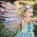 SYLPH WINGS Iridescent Fairy Wings - Etsy