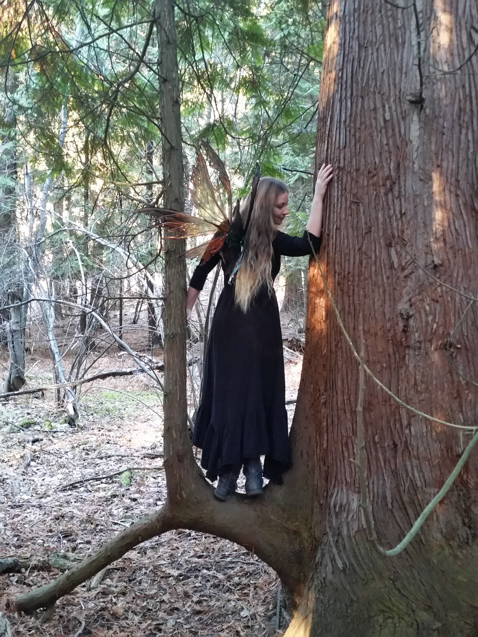 Unseelie Wings Dark Fae Fairy Wings - Etsy