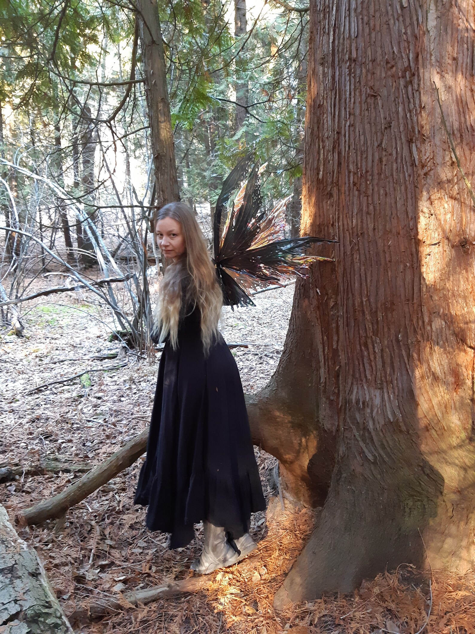 Unseelie Wings Dark Fae Fairy Wings - Etsy