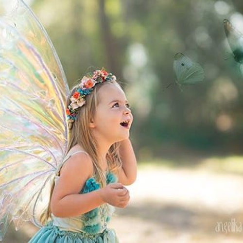 SYLPH WINGS Iridescent Fairy Wings - Etsy