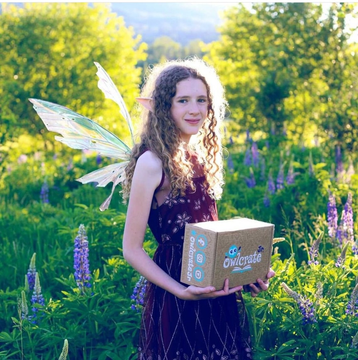 Mini Cicada Pixie Wings | Etsy