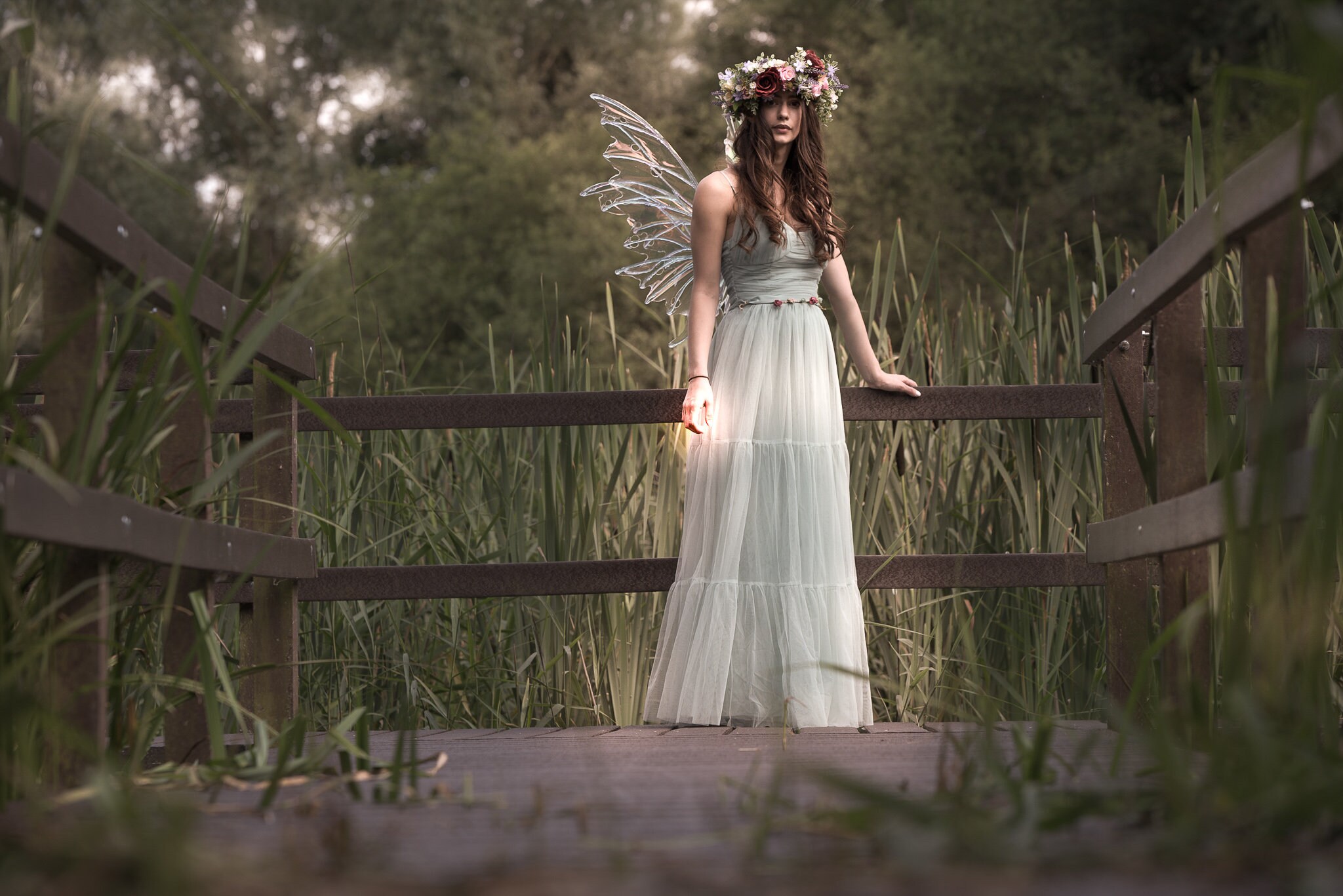 SYLPH WINGS Iridescent Fairy Wings | Etsy