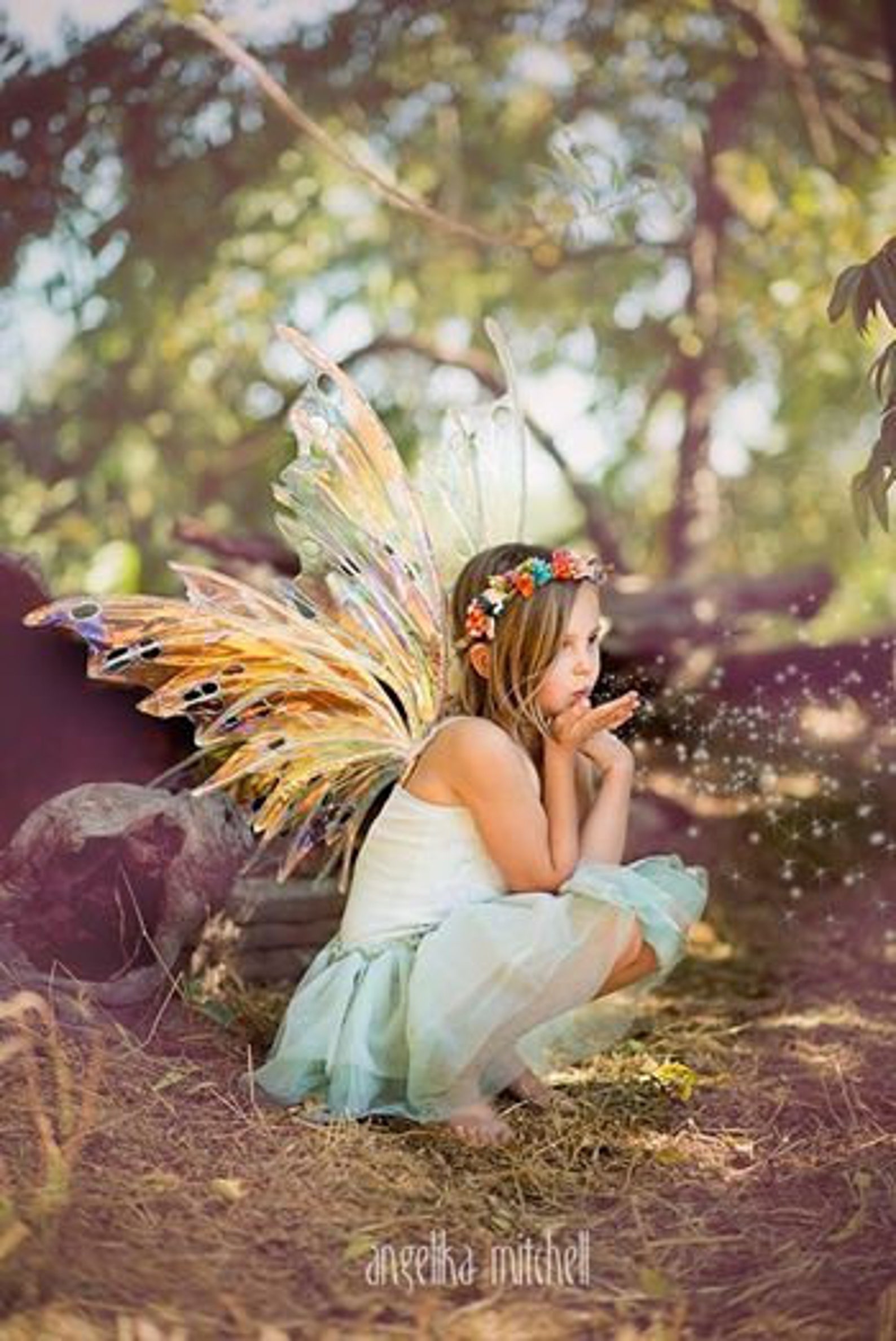 SYLPH WINGS Iridescent Fairy Wings - Etsy