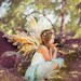 SYLPH WINGS Iridescent Fairy Wings - Etsy