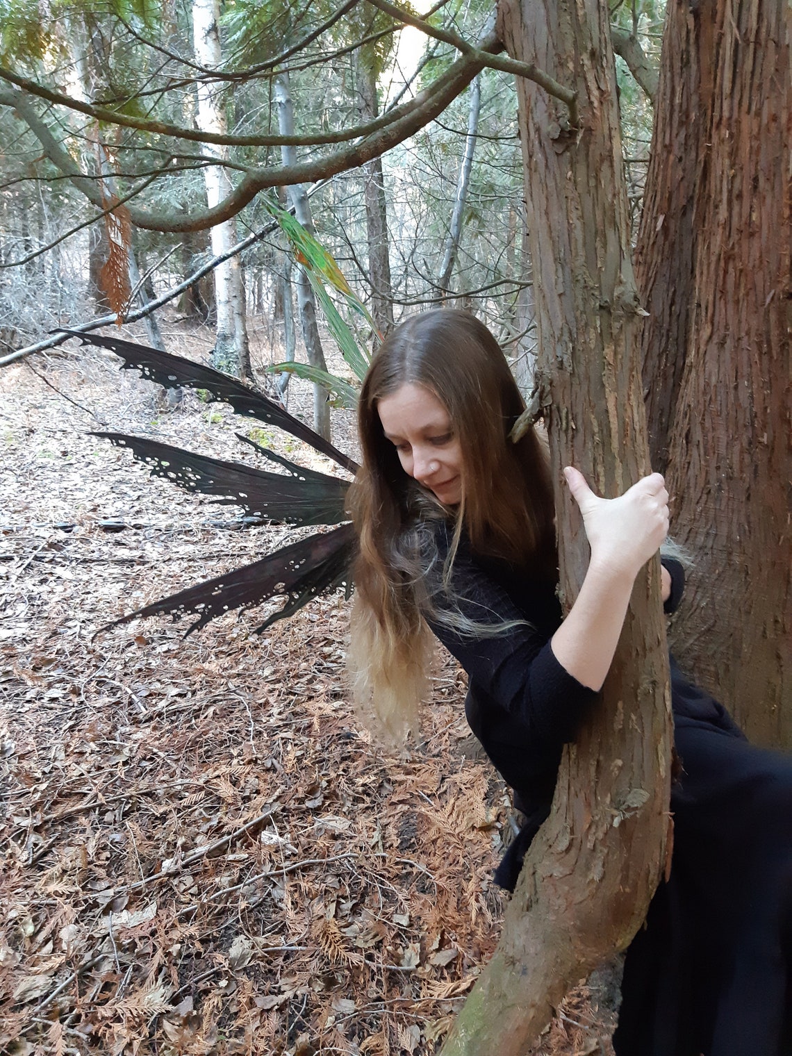 Unseelie Wings Dark Fae Fairy Wings - Etsy