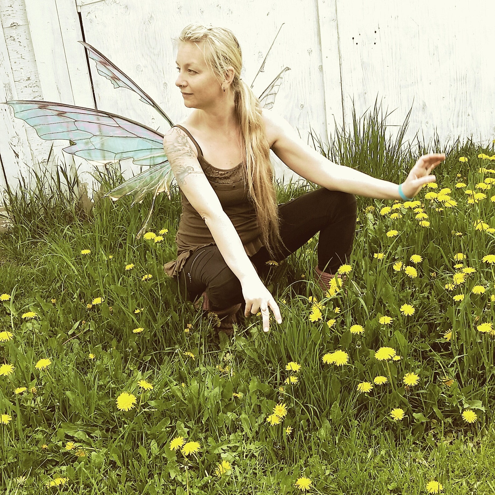 PIXIE CICADA Custom Order for Pixie Cicada Wings - Etsy