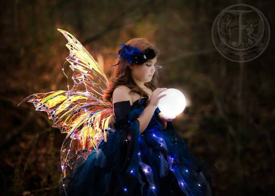 SYLPH WINGS Large Fairy Wings - Etsy Australia