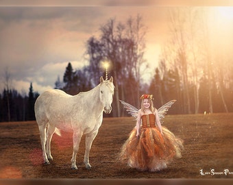 SYLPH WINGS Large Fairy Wings | Etsy