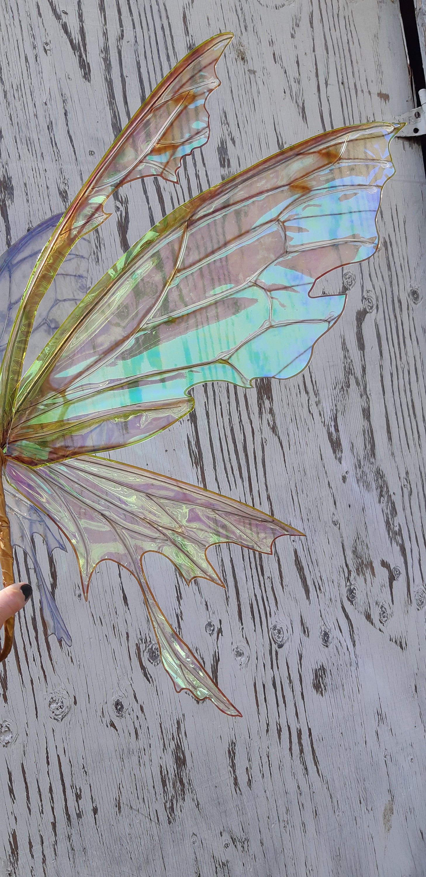 Mini Cicada Pixie Wings - Etsy