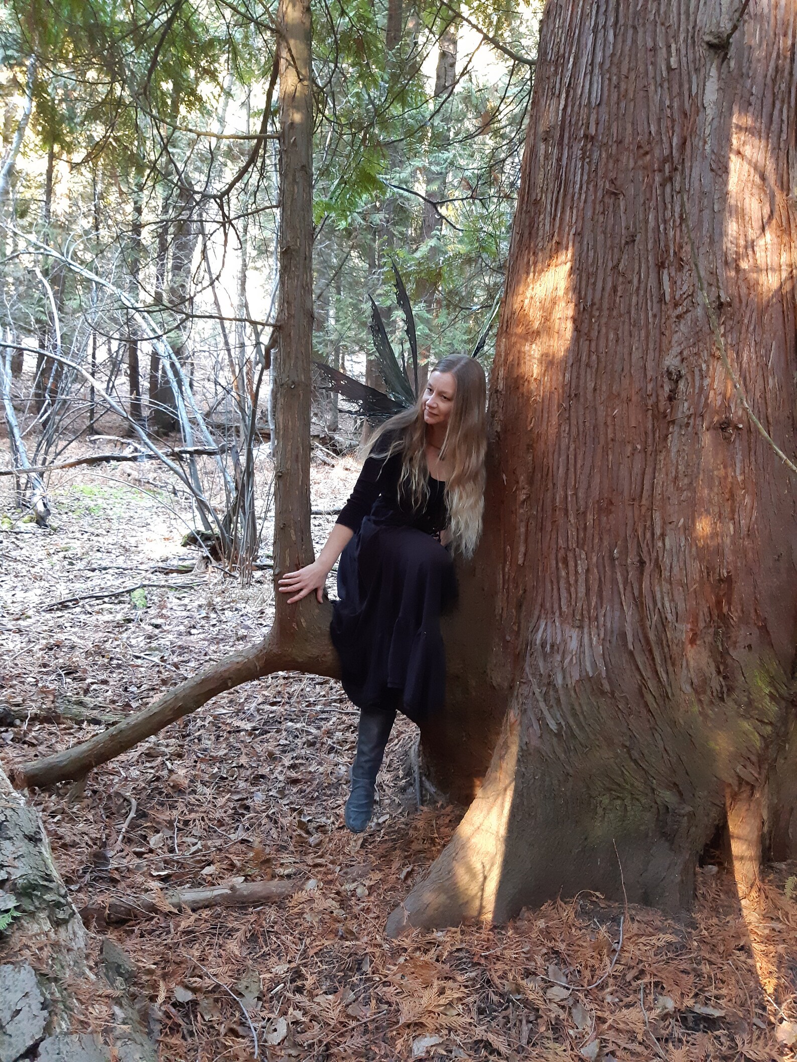 Unseelie Wings Dark Fae Fairy Wings - Etsy