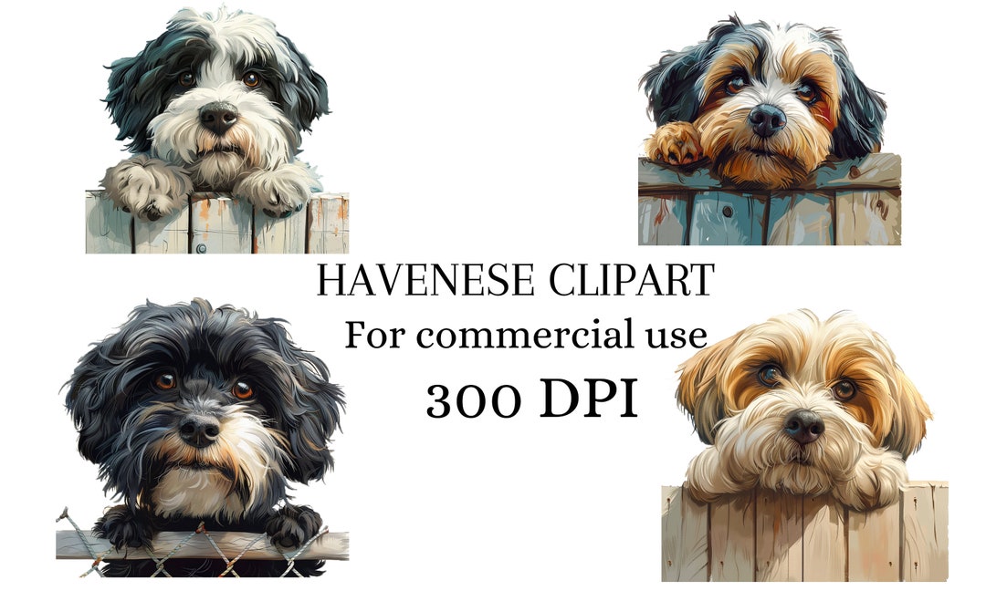 Havanese Clipart Set, 4 Adorable Dog Designs (300 DPI), Dog Clipart PNG ...