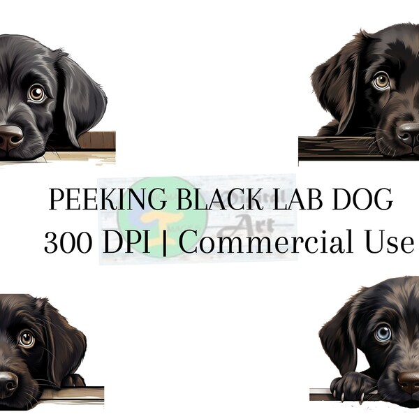 Peeking Lab Svg - Etsy