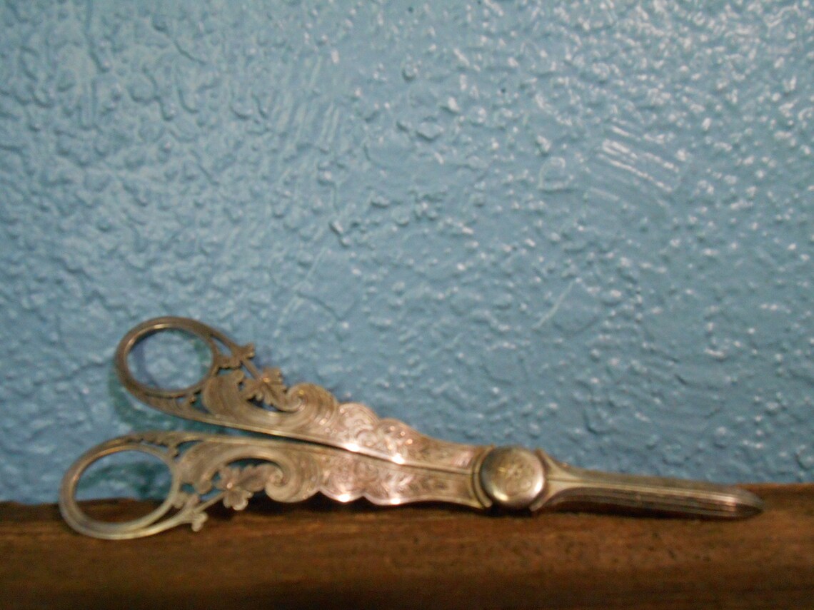Sterling Silver Grape Scissors - Etsy