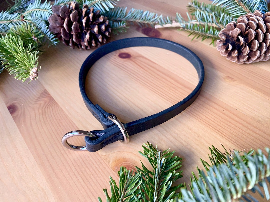 Custom Leather Slip Dog Collar - Hand-stitched Show Collar - Etsy