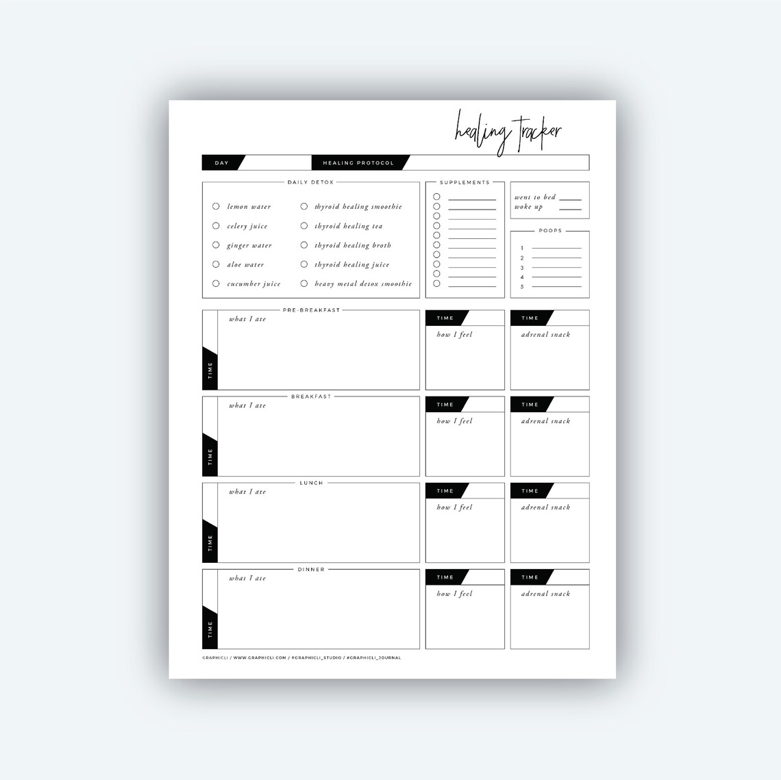 Healing Journal and Tracker Bundle. Printable and Digital for iPad Pro ...