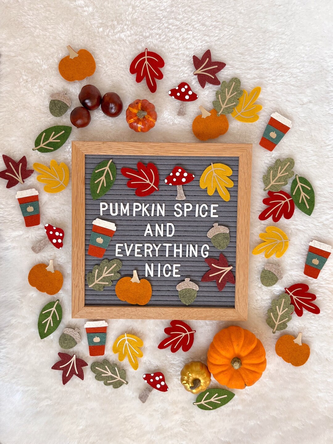Autumn Felt Shapes 9 X Felt Leaves for Letter Board Decor, Gluing and ...