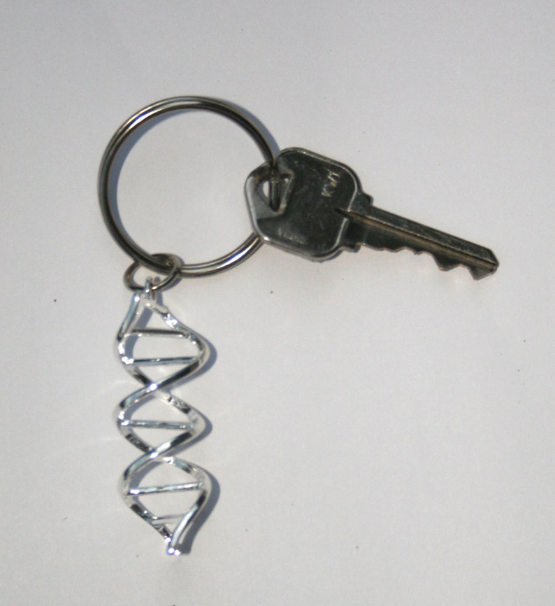 Science DNA Key Chain Helix Key Chain Biology Key Chain - Etsy