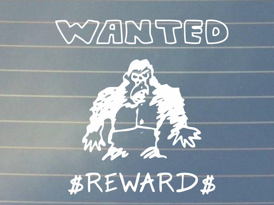 Wanted Reward Poster Waterboy Car Decal/laptop Decal/tumbler - Etsy