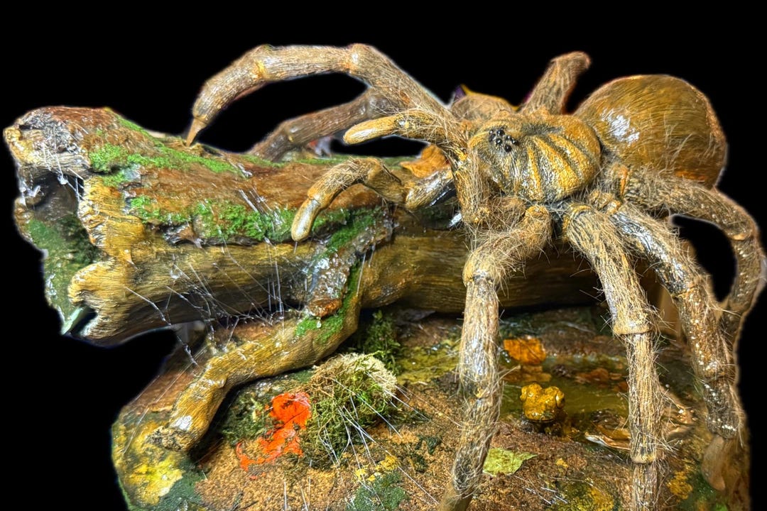 Goliath Birdeater Tarantula Spider Sculpture Diorama, Real Scale - Etsy