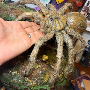 Goliath Birdeater Tarantula Spider Sculpture Diorama, Real Scale - Etsy
